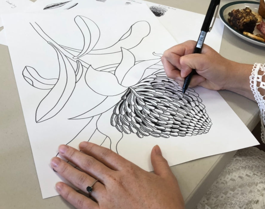 Australian Botanical Colouring Pages – Paula Zetlein Art