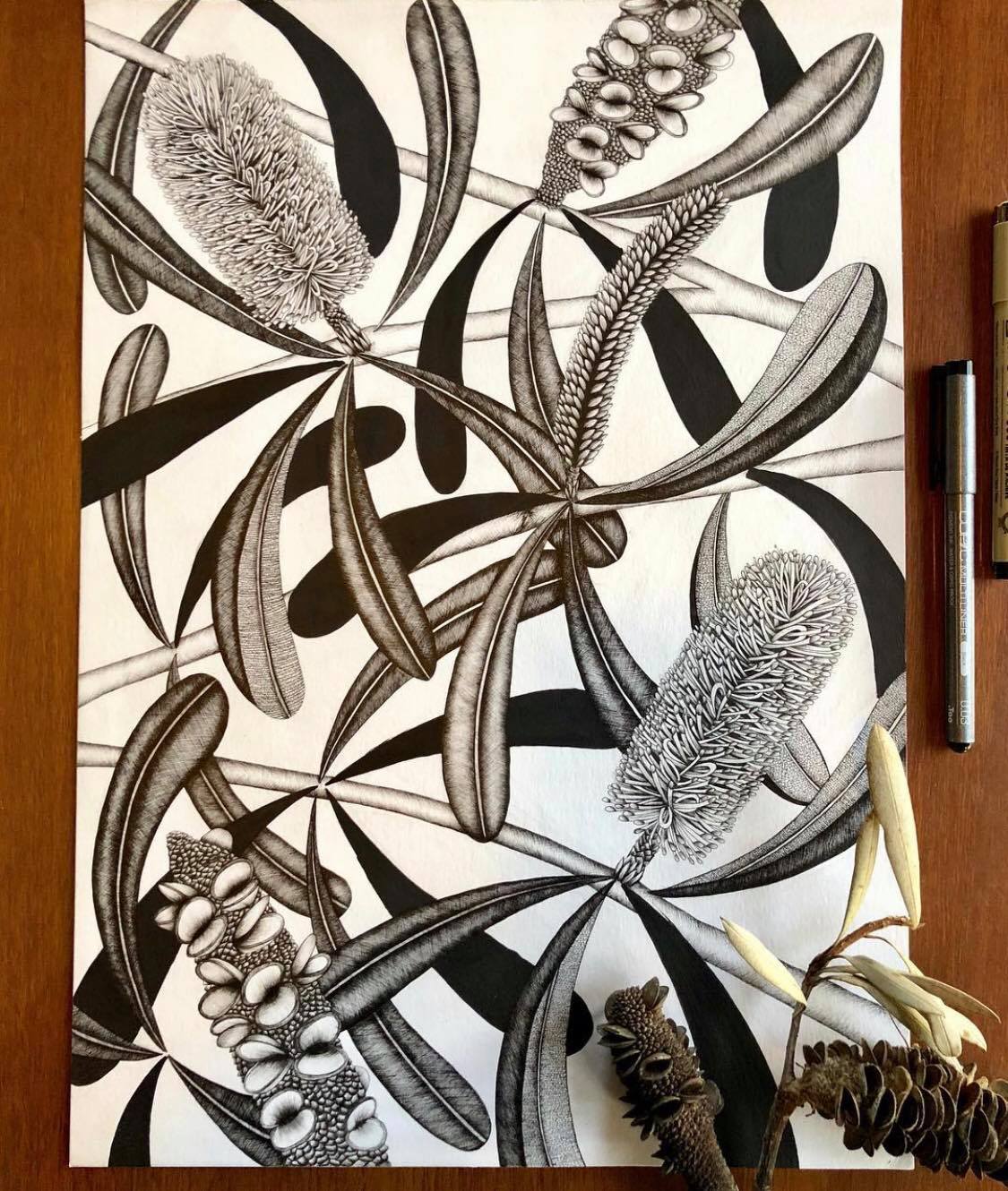 Coastal Banksia #3 Original Pen and Ink Drawing – Paula Zetlein Art