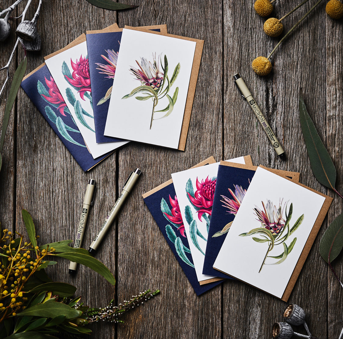 Greeting Card Collections Coloured – Paula Zetlein Art