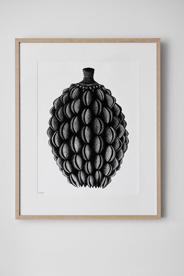 Sheoak Seed Pod Original Pen and Ink Drawing – Paula Zetlein Art